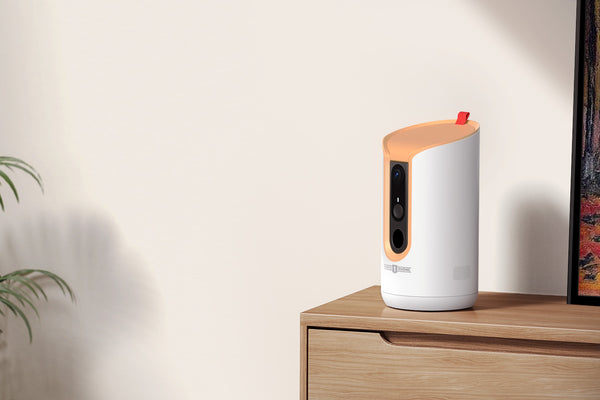 The Future of Pet Surveillance: PARIS RHÔNE PA001 Dog Camera Treat Dis