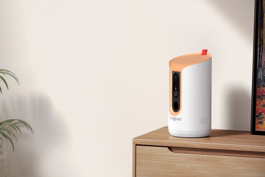 The Future of Pet Surveillance: PARIS RHÔNE PA001 Dog Camera Treat Dis